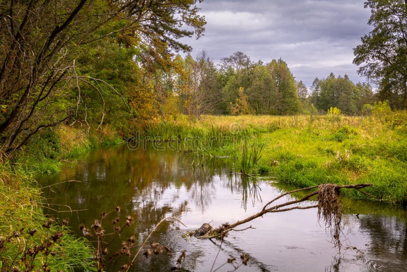 Beginning of Autumn on the Grabia River Lit by the Setting Sun, Poland ...