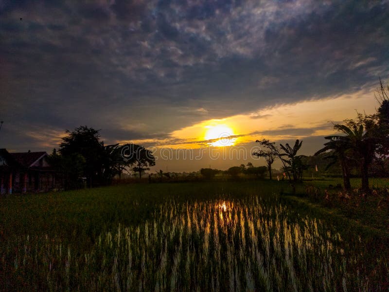 The Beginning of February is Best Stock Photo - Image of fields, tree ...