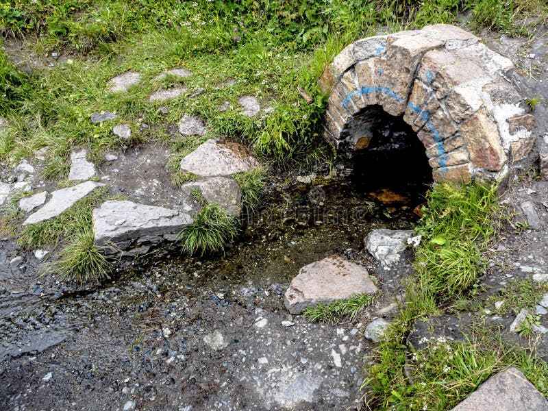 Beginning of a Forest Stream among Green Grass in the Forest Stock ...