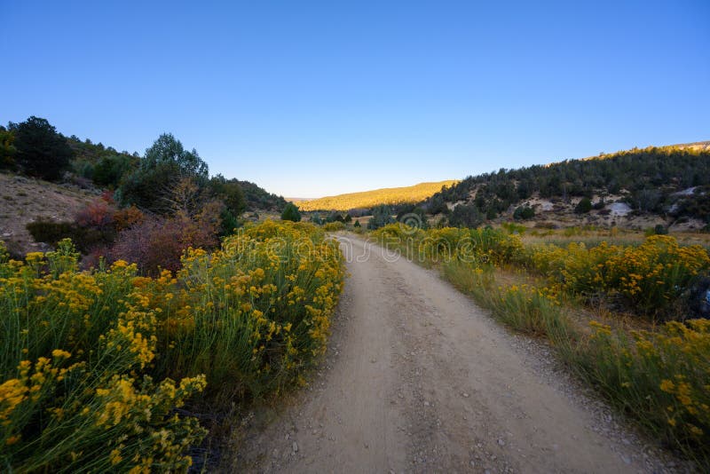 Beginning the Hike Down the Narrows Stock Photo - Image of lines ...