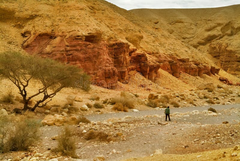 The beginning of a route stock photo. Image of eilat, middle - 2990410