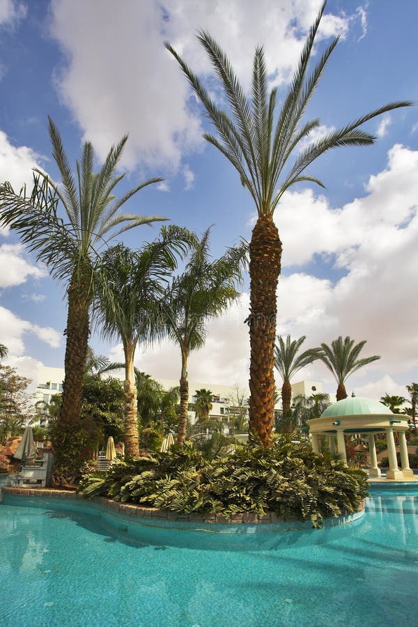 Resort recreation area stock photo. Image of journey, orlando - 4023528
