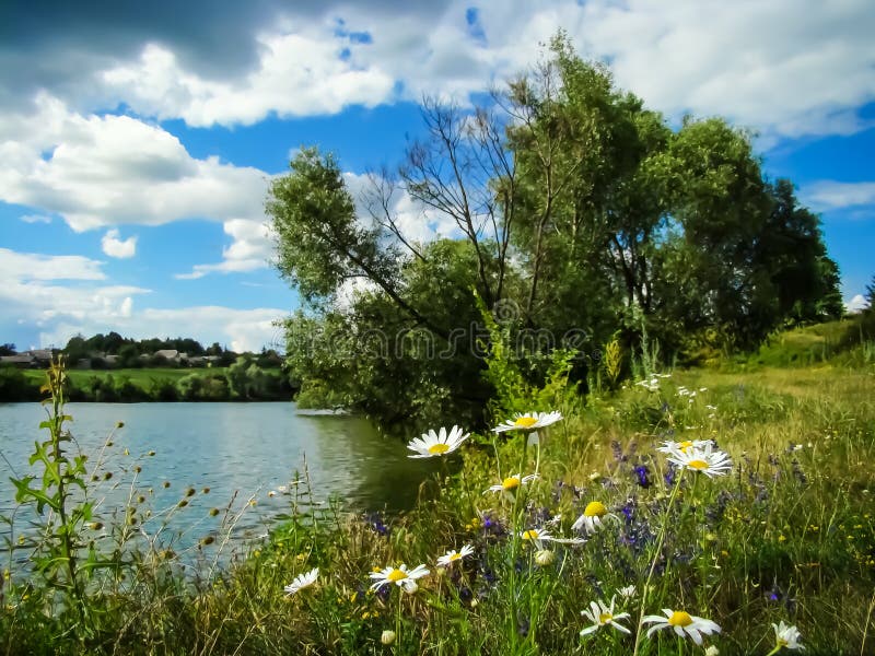 The beginning of spring. stock photo. Image of flower - 372340504