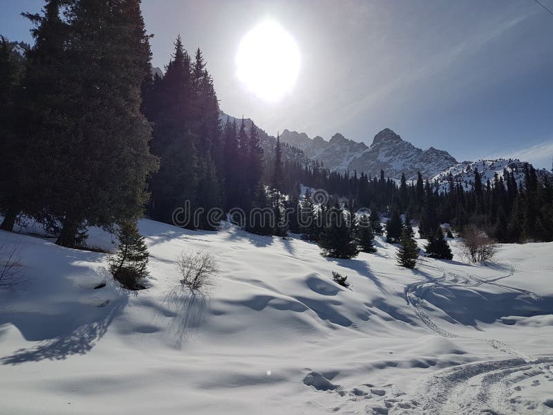 The Beginning of Spring in the Mountains. Stock Image - Image of ...