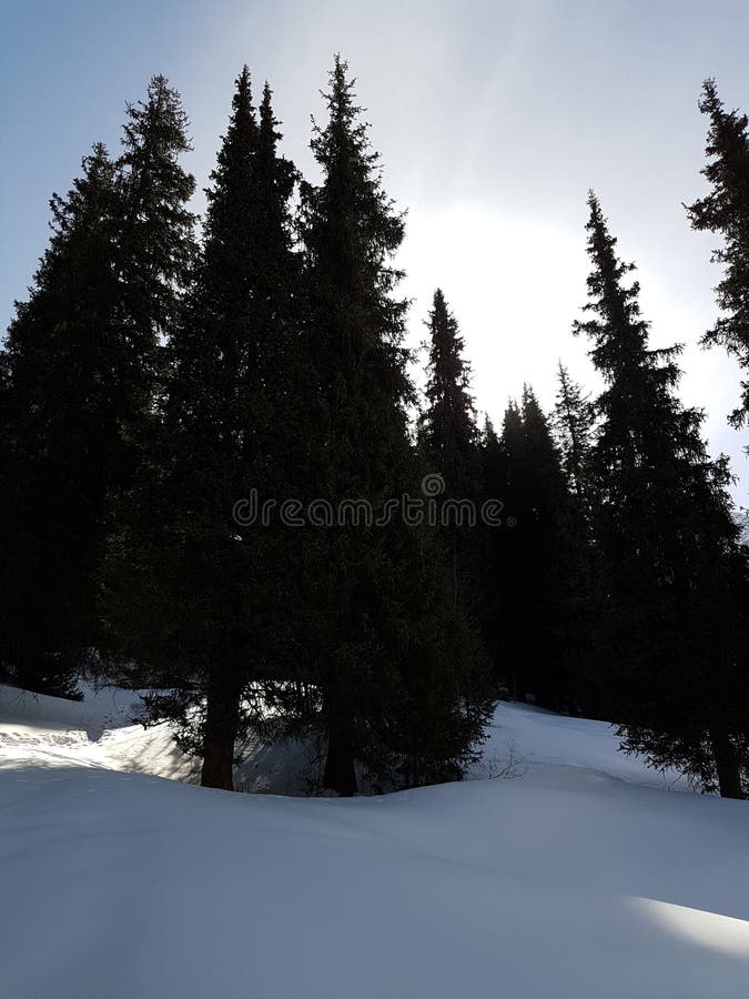 The Beginning of Spring in the Mountains. Stock Image - Image of spring ...