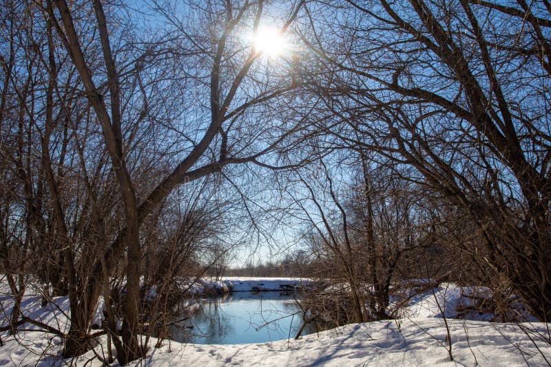 The Beginning of Spring. Snow Melts and Flood Starts Stock Photo ...