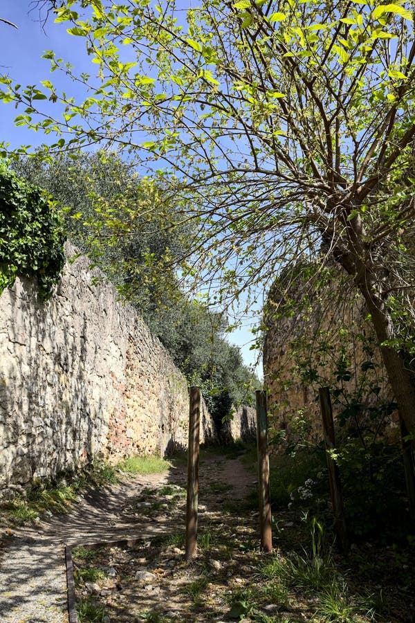 Beginning of a Trail between Stone Walls with an Arching Tree and a ...