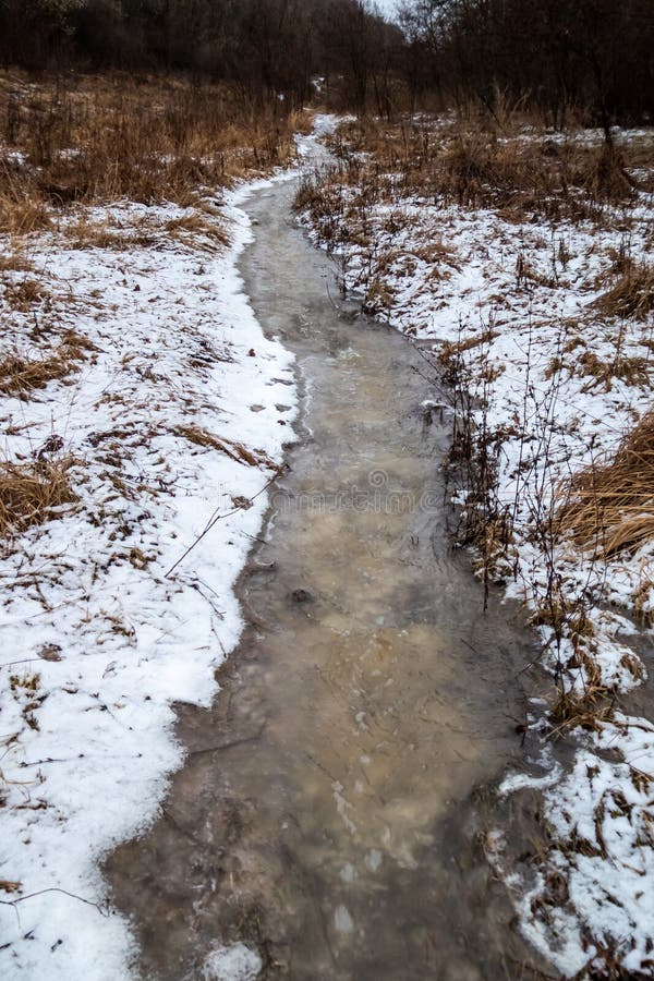 Spring Flood. Spring Stream from Melted Snow. Spring Water Flow Stock ...