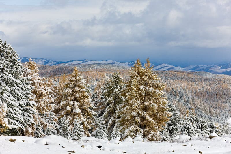 The beginning of winter stock photo. Image of rockies - 11084536