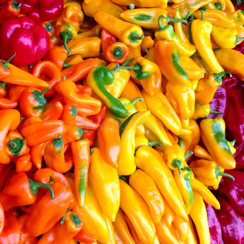 Behälter Von Bunten Pfeffern Stockbild - Bild von gemüse, stauraum ...