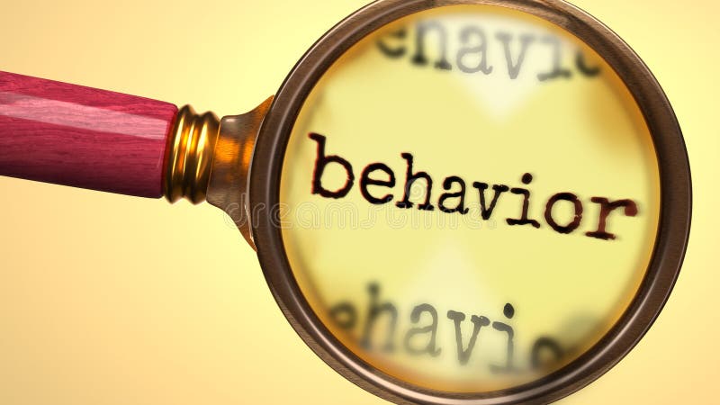 Behavior Under Magnifying Glass. Thorough Analysis and Inspection of ...
