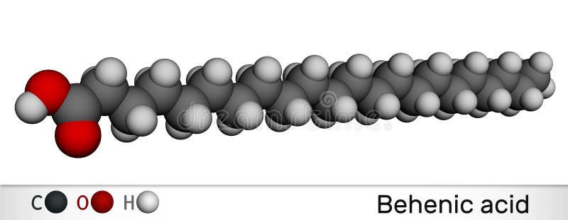 Behenic Acid, Molecule. it is Docosanoic Acid, Straight-chain, Long ...