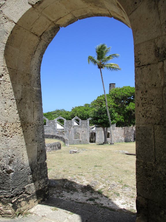 Behind the Arch a Palm Tree Stock Photo - Image of landmark, abbey ...