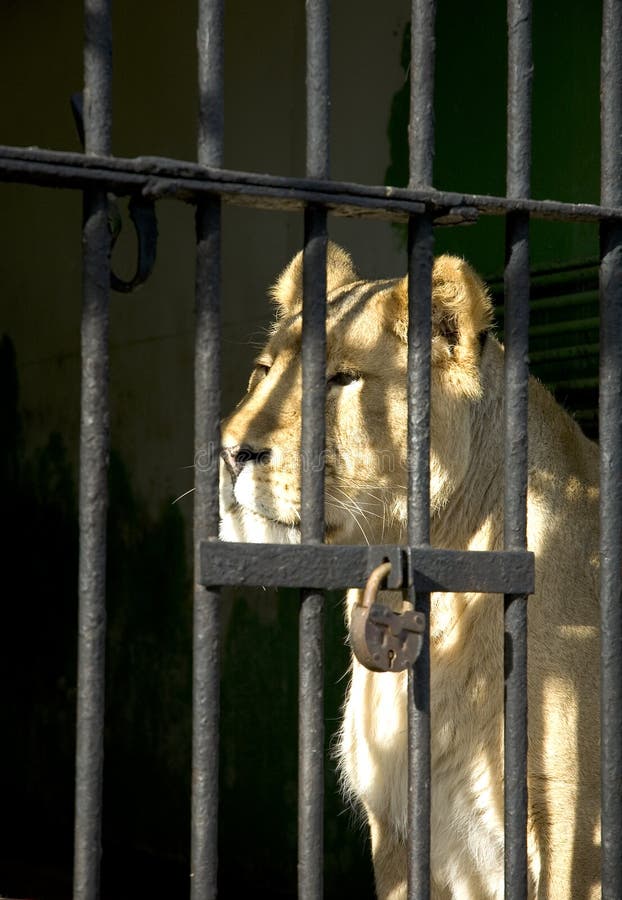 Behind bars stock image. Image of sorrow, lock, sadness - 282211