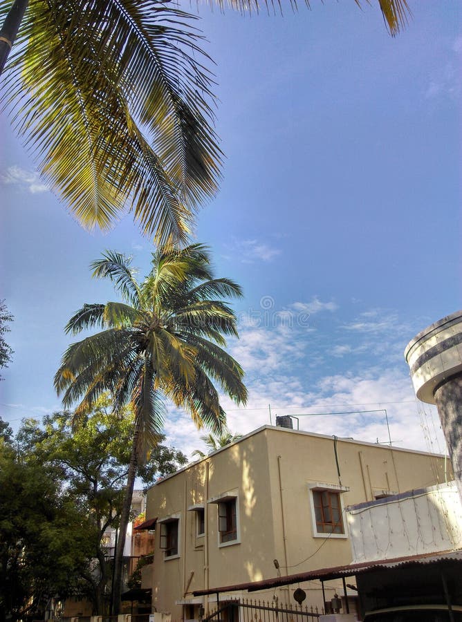 Behind the Coconut Tree is a Cement House and Nice Sky Stock Image ...
