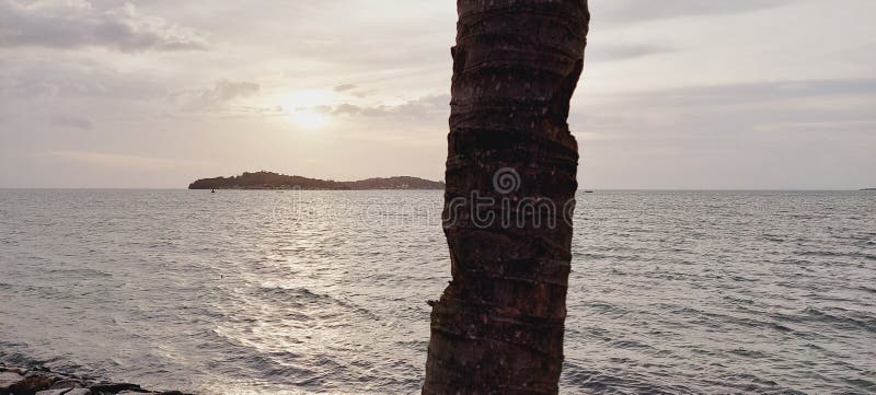 Behind the Coconut Trunk There is an Exotic Island Stock Image - Image ...