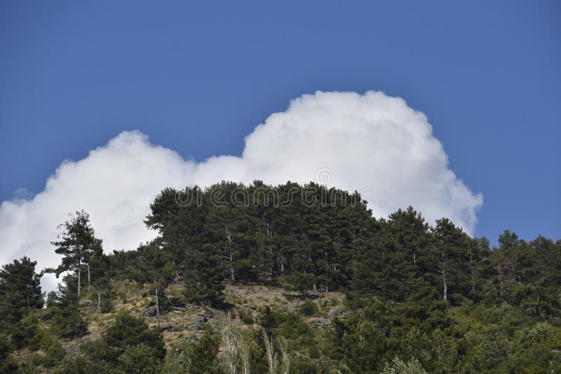 Behind the Mountain, Behind the Trees, a White Cloud Appears. Stock ...