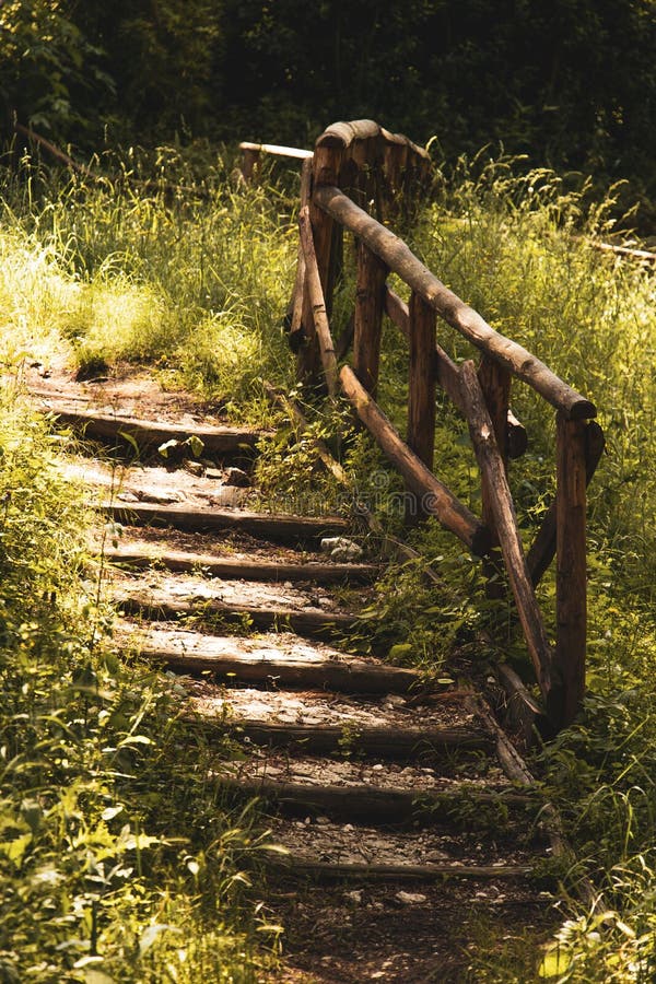 Behind the path stock image. Image of path, fantastic - 117959347