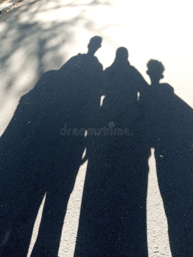 Behind the shadow stock image. Image of wildcat, snout - 265696571