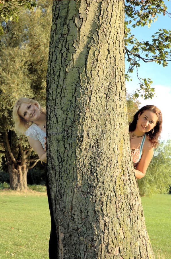 Behind the tree stock photo. Image of afternoon, sunny - 1283798