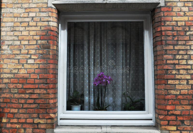 Behind a window stock image. Image of bricks, window - 104483427