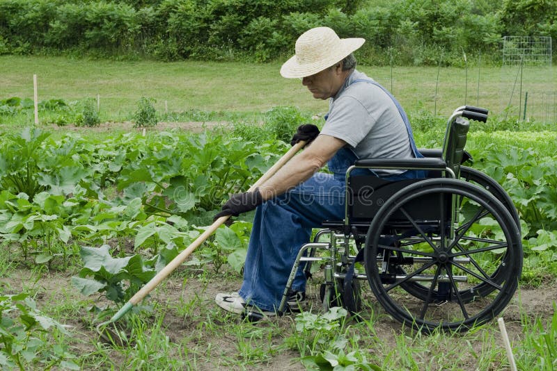 Behinderter Mann in Seinem Garten Stockbild - Bild von sitzen, gesamte ...