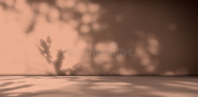 Beige Background Wall Studio Shadow Kitchen Table Backdrop Room Pink ...