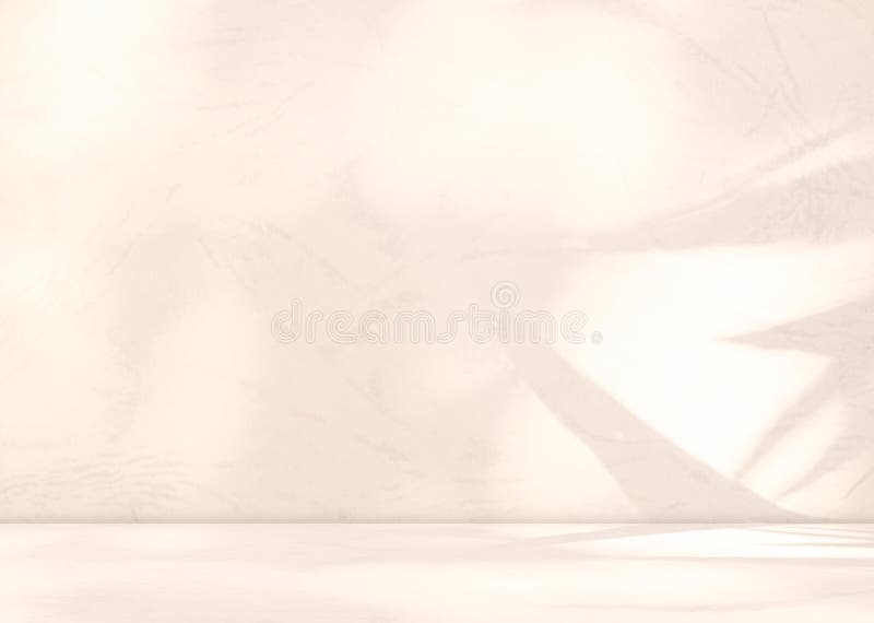 Beige Background Wall Studio Shadow Leaf Backdrop Gradient Room Light ...