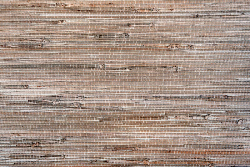 Beige bamboo mat texture stock image. Image of nature - 288888521