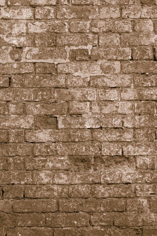 Beige Brick Building Wall. Interior of a Modern Loft Stock Image ...