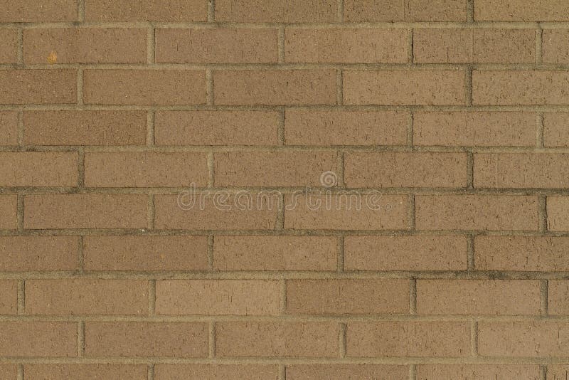 Beige bricks wall stock photo. Image of paint, bricks - 38114884