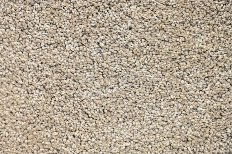 A Beige Carpet Texture Full Frame. Long Pile Carpet Texture. Stock ...