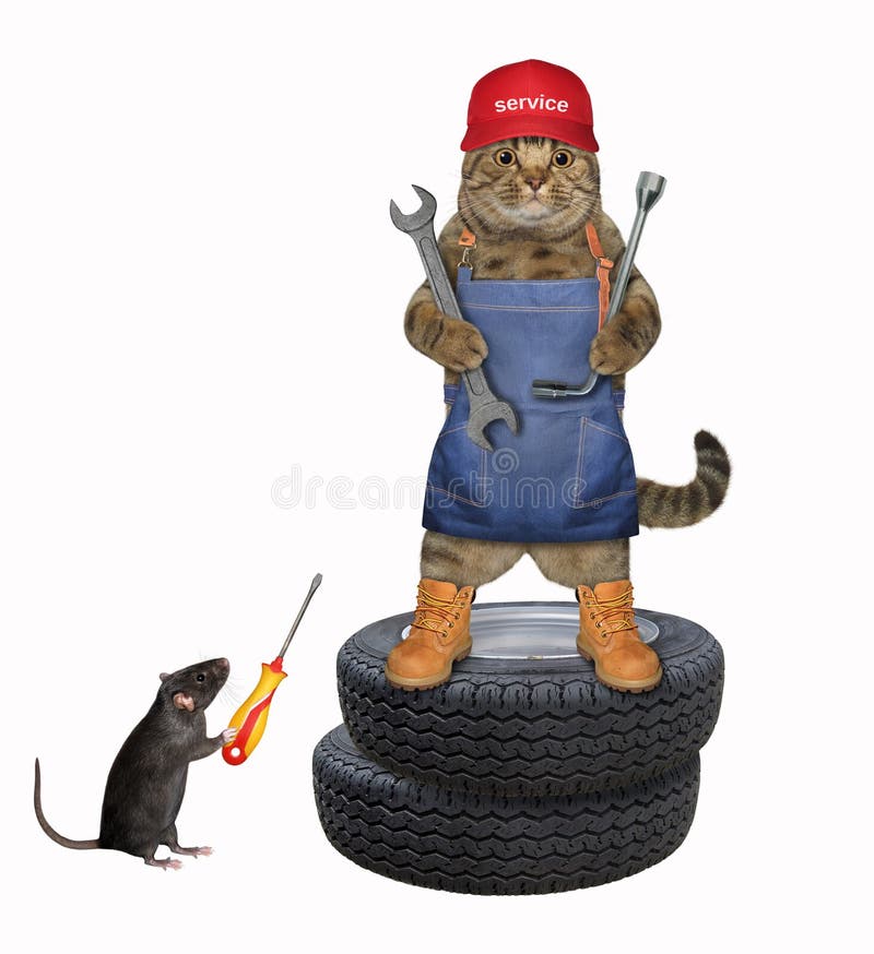 Iryna Kuznetsova (Ira1966k) - Photographer profile