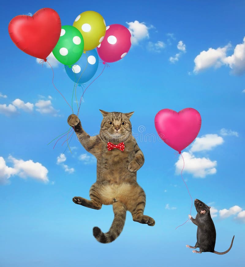 Cat with Balloons Flying in Sky Stock Image - Image of concept, mouse ...