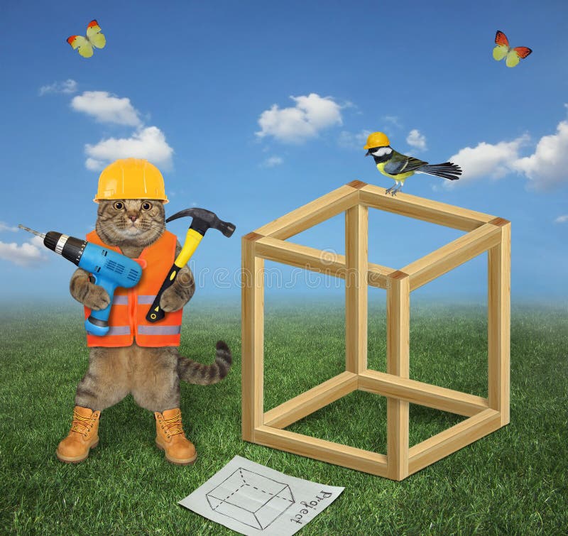 Cat Worker with Drill and Hammer Stock Photo - Image of industry ...