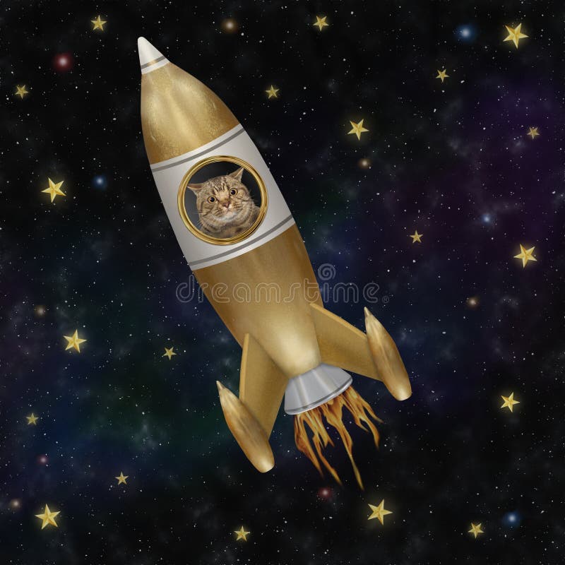 Animal Rocket Launcher Stock Photos - Free & Royalty-Free Stock Photos ...