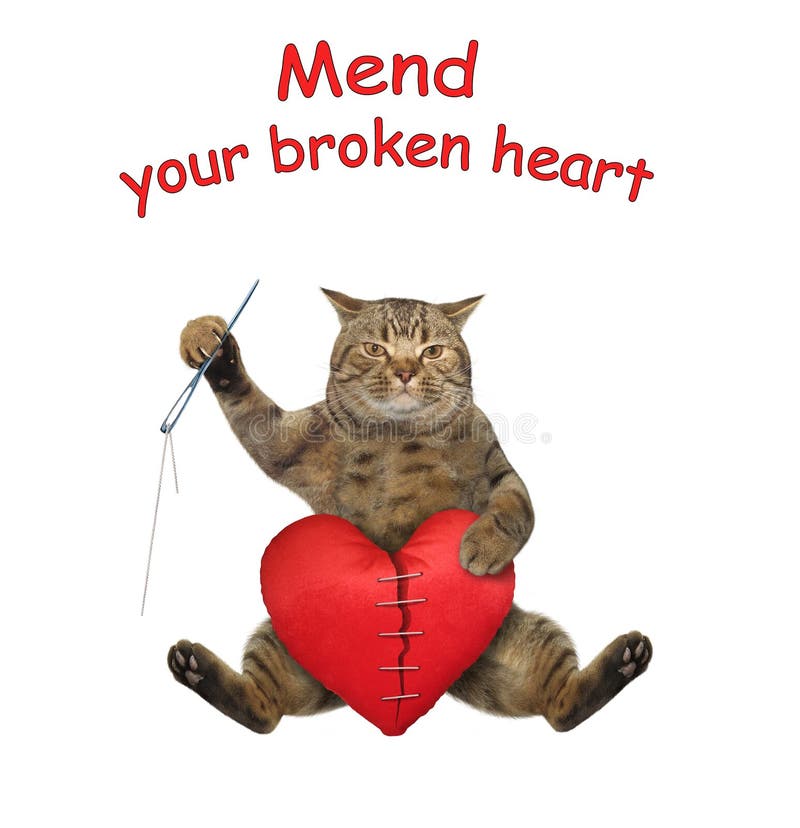 Mend a broken heart stock photo. Image of heart, horizontal - 20750860