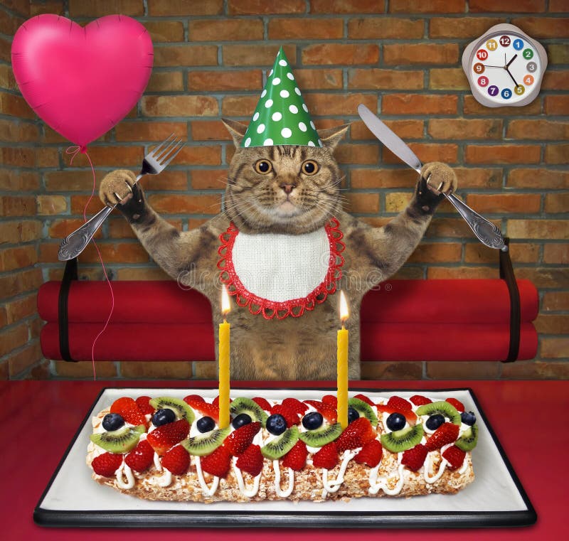 Cat Eats Berry Meringue Roulade 2 Stock Image - Image of meringue ...