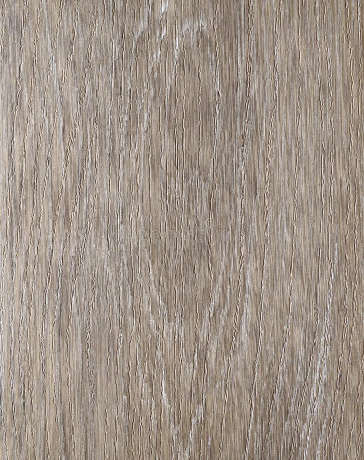 Beige Color Pine Tree Texture for Background Stock Photo - Image of ...