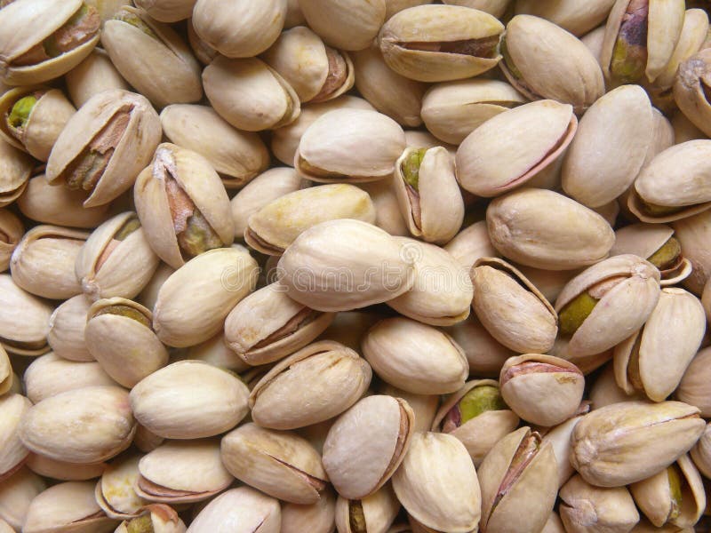 In shell Pistachios stock photo. Image of beige, background - 187654240