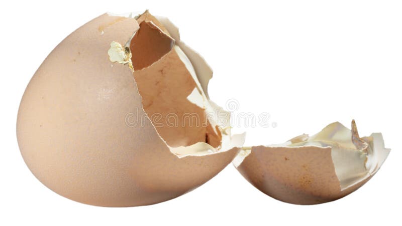 Chicken Eggs Broken after Hatching Stock Photo - Image of alimentary ...