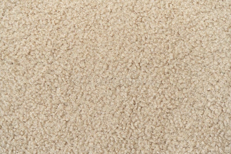 Beige Curly Wool Seamless Texture Background. Texture with Short ...