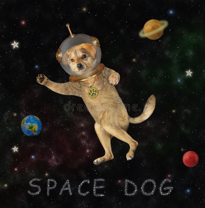 Dog in Spacesuit in Outer Space 2 Stock Photo - Image of beige ...