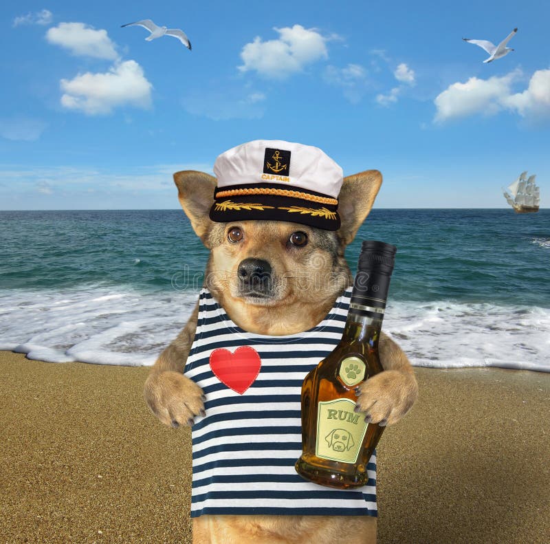 Dog Captain with Bottle of Rum 2 Stock Illustration - Illustration of ...