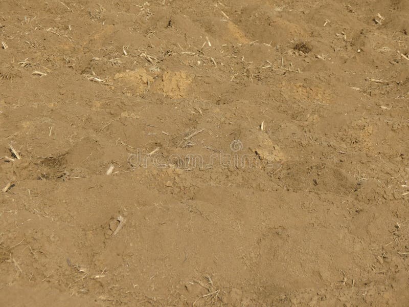 Beige Earth Bump Stone Texture for Background, Wallpaper, Material ...