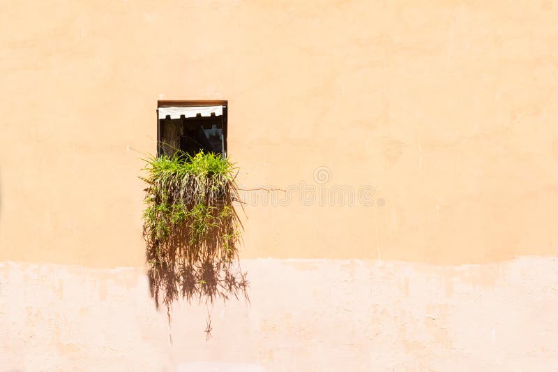 Beige House Wall and Small Window with Flower Stock Image - Image of ...