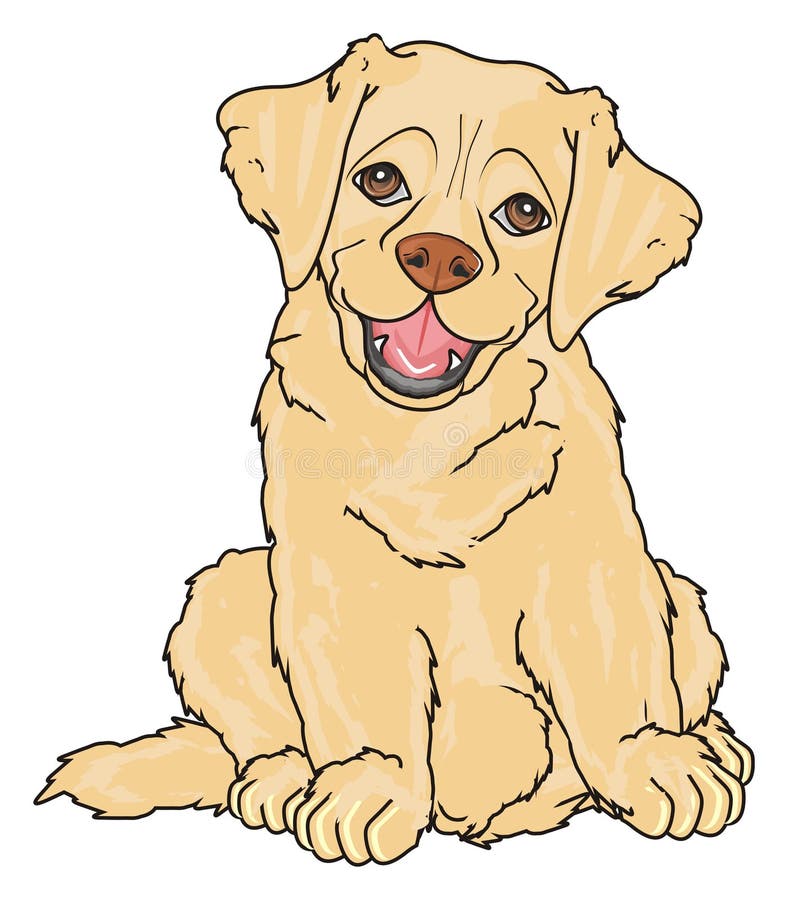 Beige labrador sit stock illustration. Illustration of puppy - 100514818
