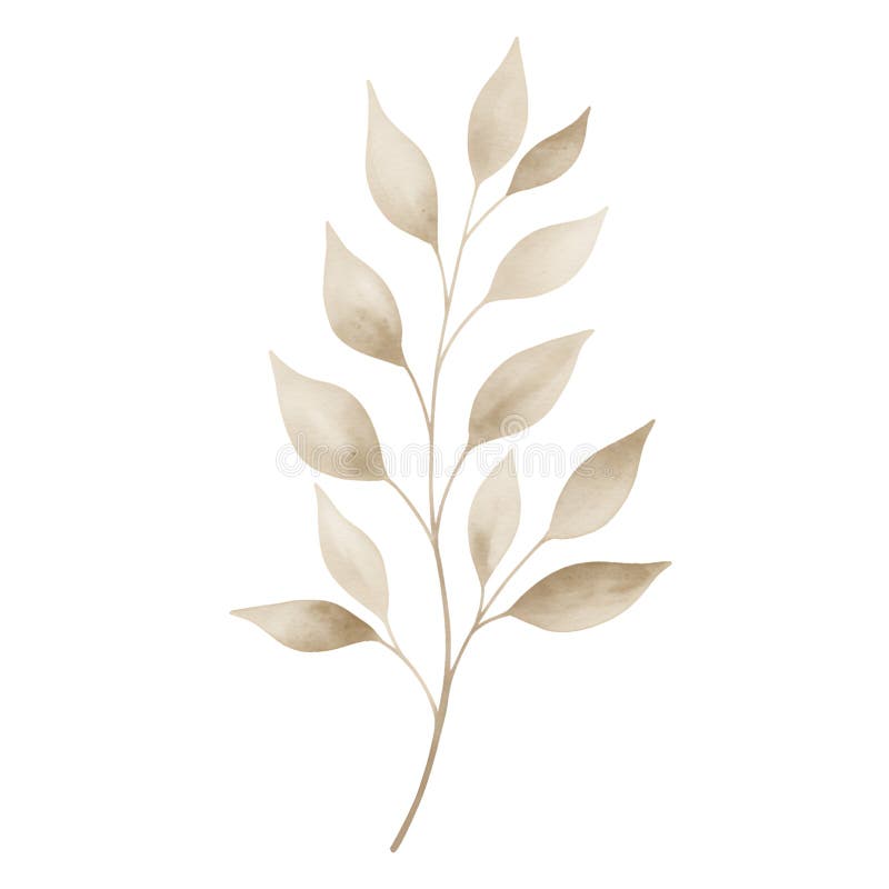 Elegant Watercolor Beige Branch Botanical Illustration Nature Leaves ...