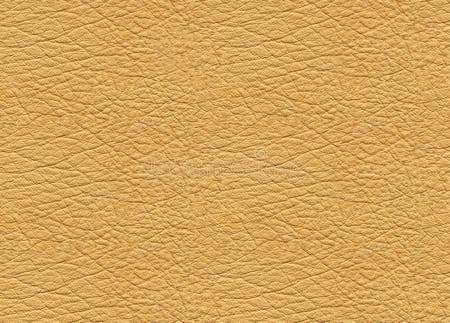 1,444 Beige Leather Sofa Texture Stock Photos - Free & Royalty-Free ...