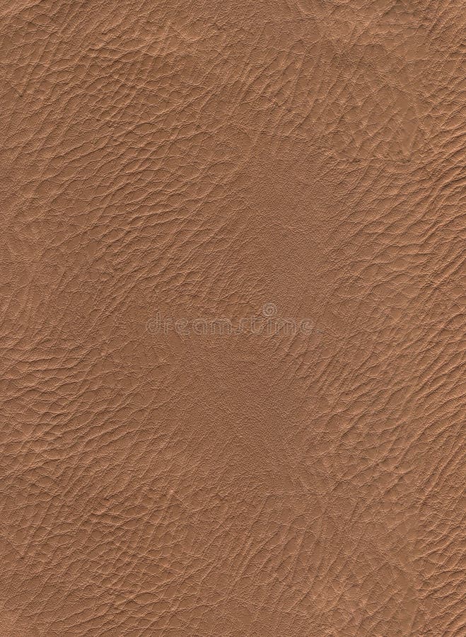 Beige Leather stock photo. Image of upholstery, material - 49054226